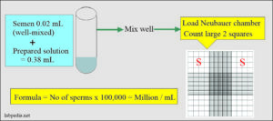 Semen:- Part 1 - Semen analysis, and Semen Counting Procedure ...