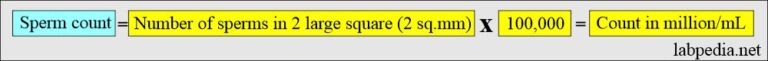 Semen:- Part 1 - Semen analysis, and Semen Counting Procedure ...