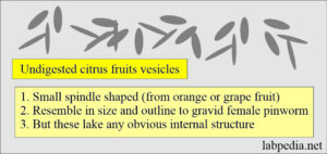 Stool Examination:- Part 1 - Stool Examination and Interpretations ...