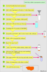 Stool Examination:- Part 2 - Stool Concentration Methods, Stains ...