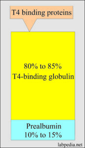 Prealbumin, Acute phase protein - Labpedia.net