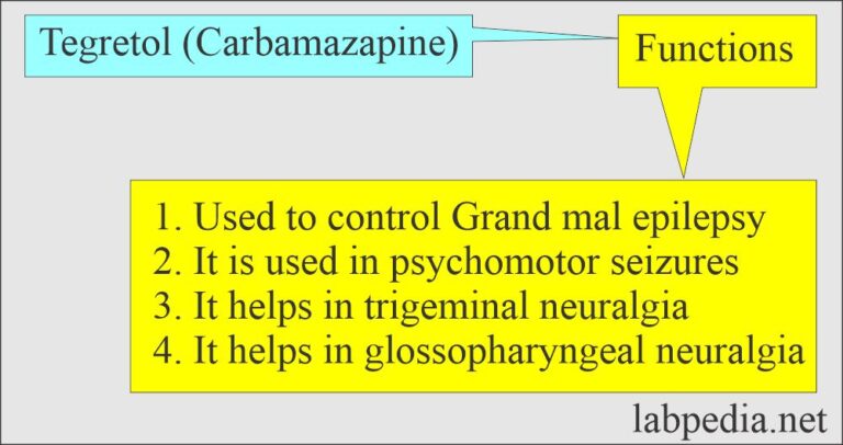 Tegretol level (Carbamazepine) - Labpedia.net