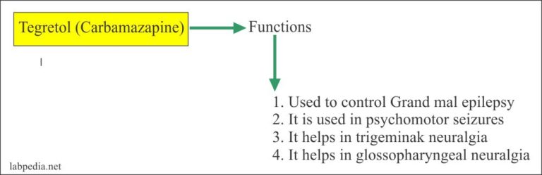 Tegretol level (Carbamazepine) - Labpedia.net