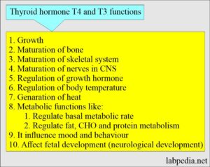 Thyroid:- Part 5 - Thyroxine Total, T4 - Labpedia.net