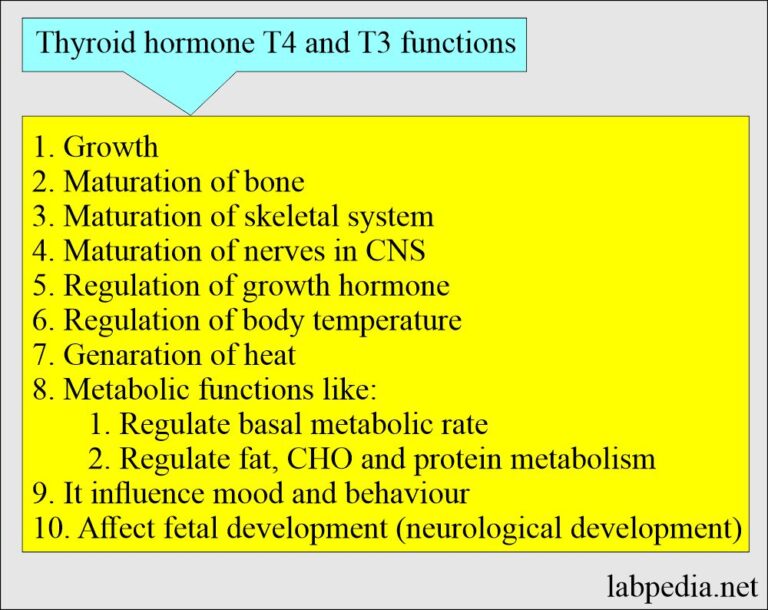 Thyroid:- Part 5 - Thyroxine Total, T4 - Labpedia.net