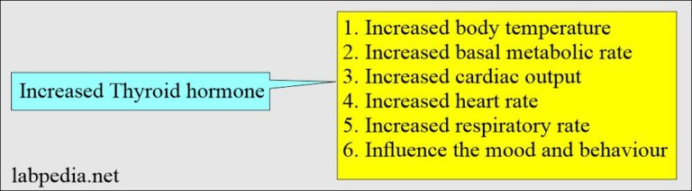 Thyroid:- Part 5 - Thyroxine Total, T4 - Labpedia.net Thyroid:- Part 5 - Thyroxine Total, T4 - Labpedia.net