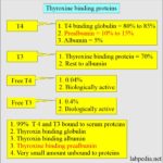 Thyroid:- Part 1 - Thyroid Function Tests (Thyroid Hormones) T4, T3 ...