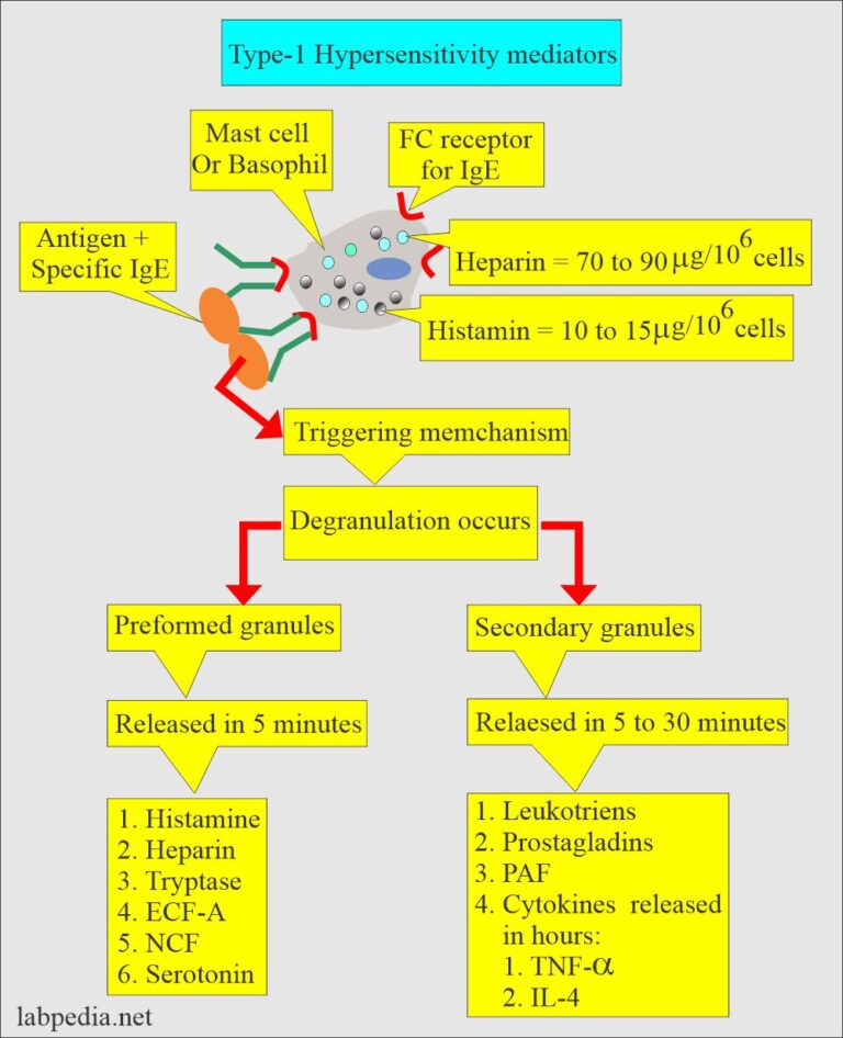 Management of Anaphylactic Reaction (Type 1 Hypersensitivity) During Blood Collection