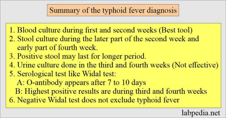 Typhoid Fever, Enteric Fever (Salmonella typhi)