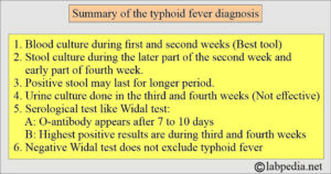 Typhoid Fever, Enteric Fever (Salmonella typhi)
