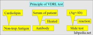 Syphilis:- Part 2 - VDRL (Venereal disease research laboratory test ...