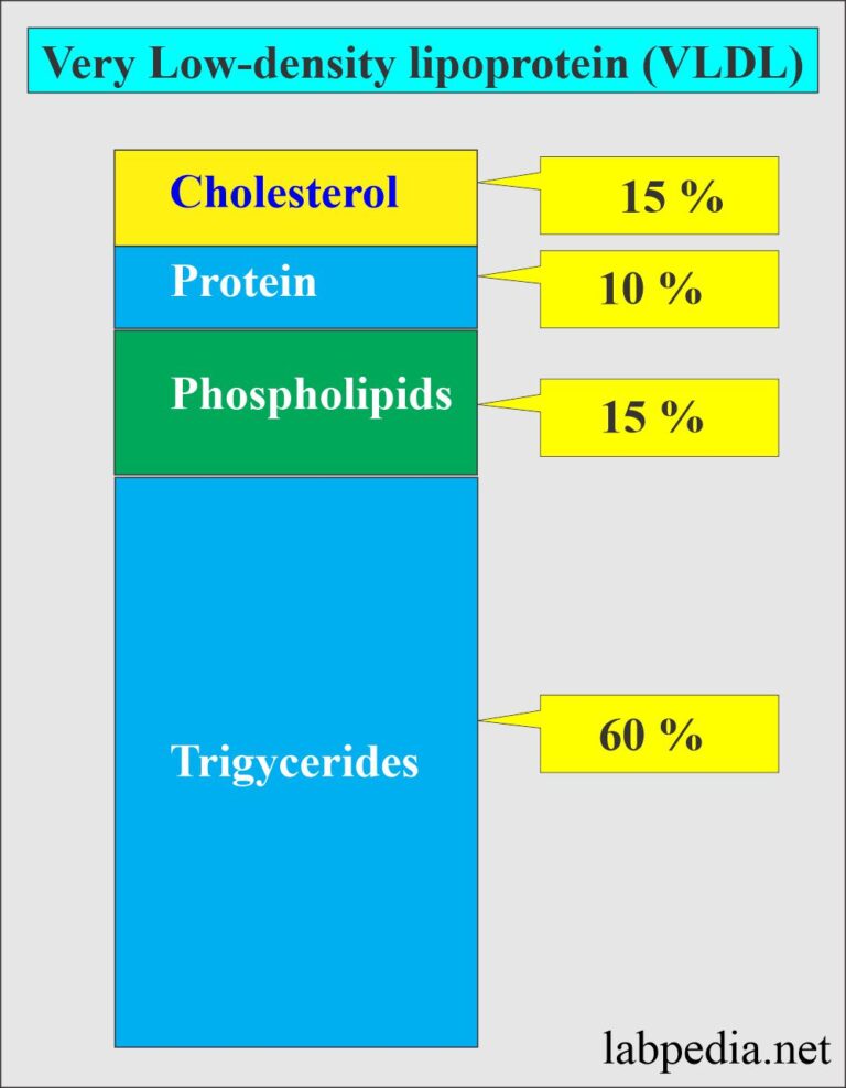 Lipoprotein:- Part 3 - Very Low-Density Lipoprotein (VLDL) - Labpedia.net