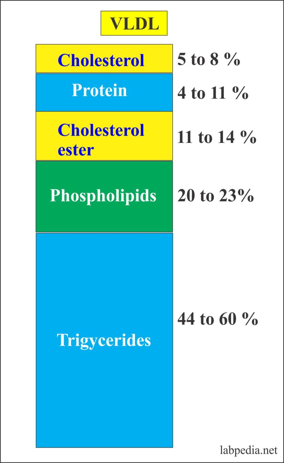 Lipoprotein - Part 3 - Very Low Density Lipoprotein (VLDL) - Labpedia.net