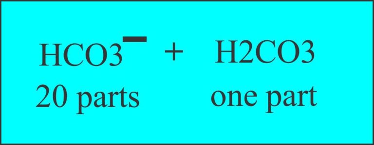 Acid-Base Balance:- Part 1 B - Acid-Base System - Labpedia.net