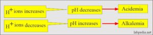 Acid-Base Balance:- Part 1 B - Acid-Base System - Labpedia.net