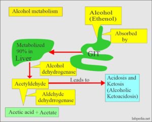 Chemical pathology - Labpedia.net