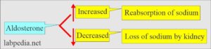 Urine Sodium (Na+), Spot test, 24-Hour Urine Sodium - Labpedia.net