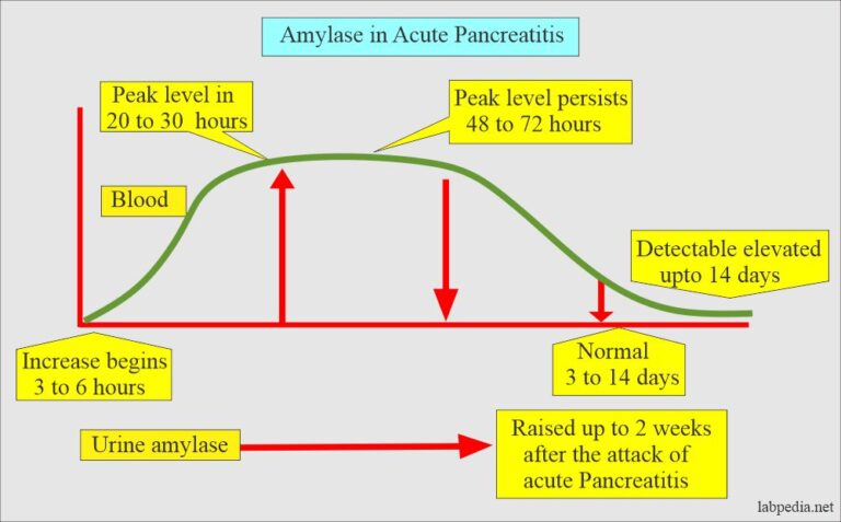 Diagnostic value of various enzymes