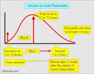Pancreatic Functions and Acute pancreatitis - Labpedia.net