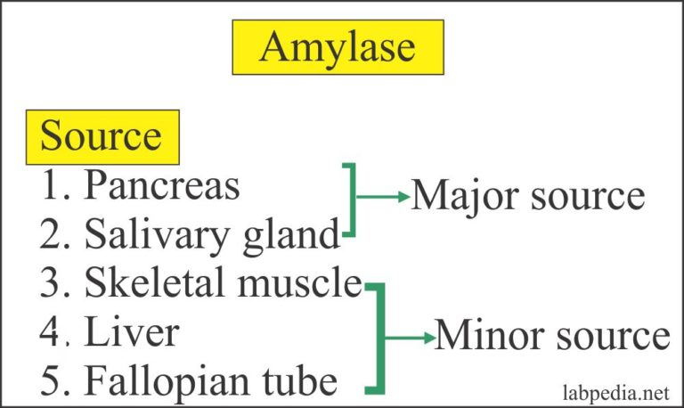 Urine amylase (Amylasuria), Amylase/Creatinine clearance ratio ...