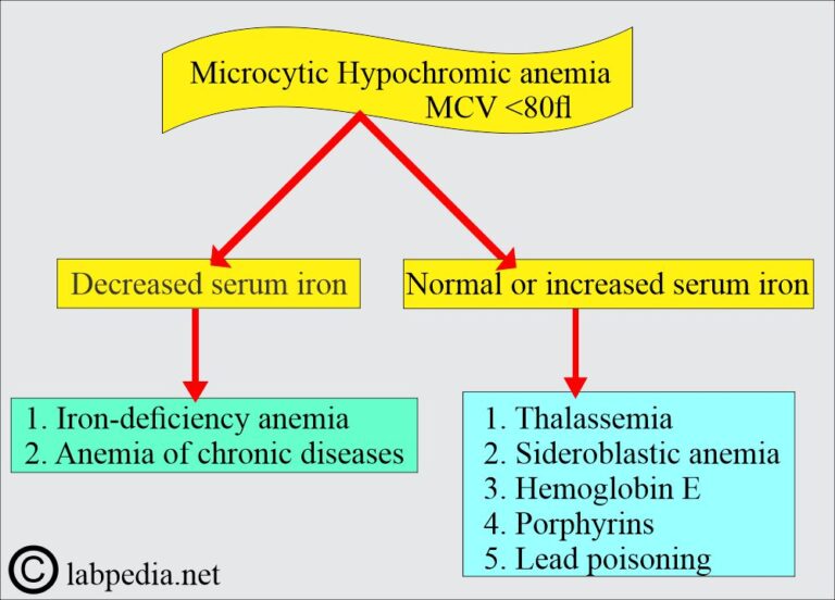 Anemia:- Part 2 - Iron Deficiency Anemia, Microcytic and hypochromic ...