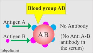Blood banking:- part 1- Blood Groups ABO and Rh System, Blood Grouping ...