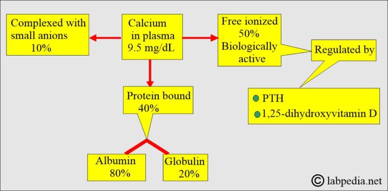 Calcium:- Part 2 - Ionized Calcium (Ca), Free Calcium - Labpedia.net