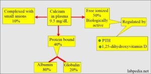 Calcium: - Part 1 - Calcium Total, Hypercalcemia and Hypocalcemia ...
