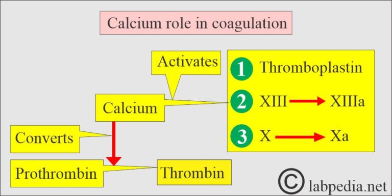 Blood coagulation factors and interpretations