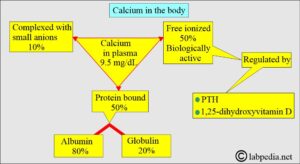 Blood coagulation factors and interpretations