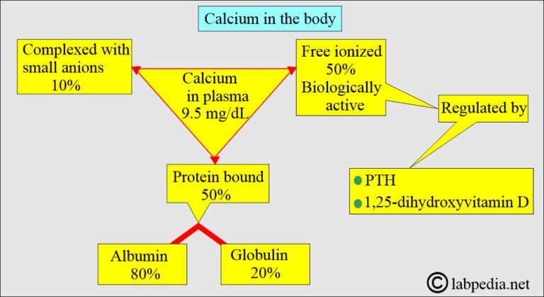 Blood coagulation factors and interpretations