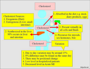 Cholesterol (Serum Cholesterol) - Labpedia.net