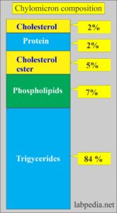 Lipoprotein:- part 4 - Chylomicron - Labpedia.net