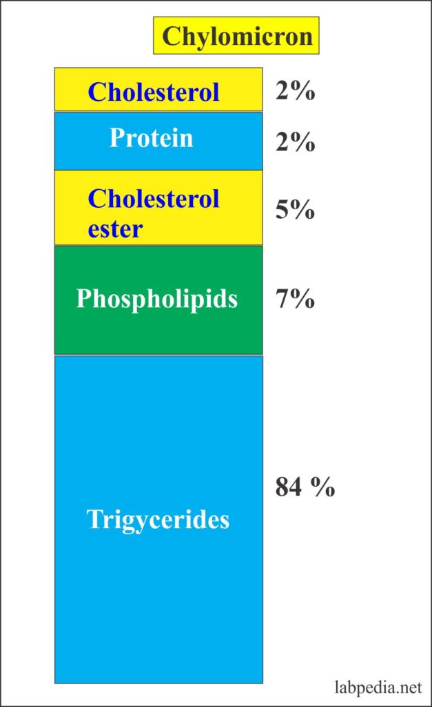 Lipoprotein:- part 4 - Chylomicron - Labpedia.net