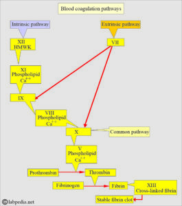 Coagulation:- part 4 - Partial Thromboplastin Time (PTT) and APTT ...