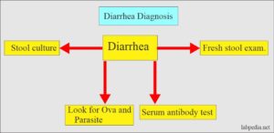 Diarrhea Causative agents and Diagnosis