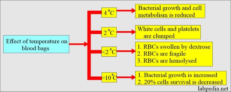 Blood banking:- part 3 - Blood Donation Procedure, Blood Components and ...