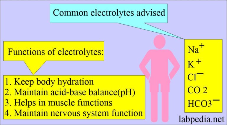 Electrolytes:- Part 3 - Electrolytes Panel - Labpedia.net