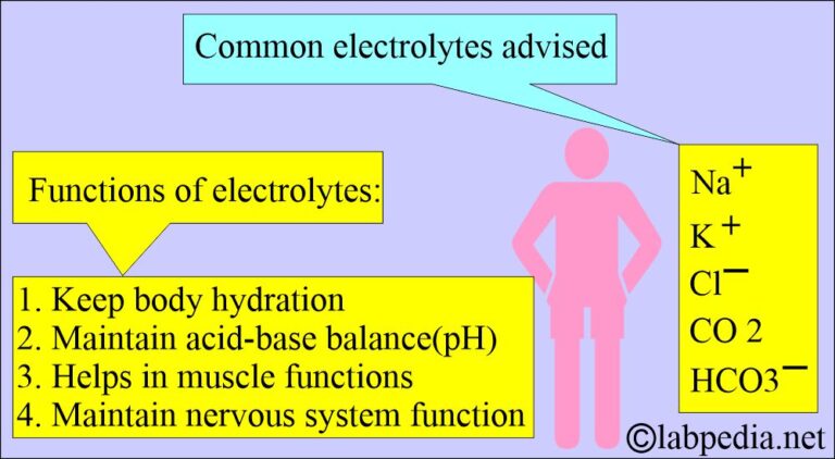 Electrolytes:- Part 3 - Electrolytes Panel - Labpedia.net