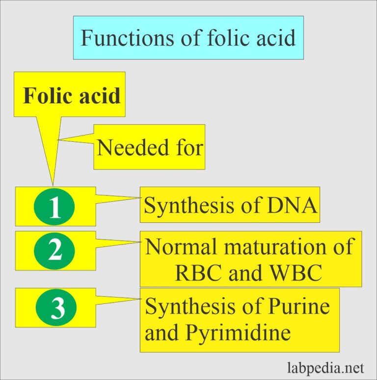 Folic Acid and Folate - Labpedia.net