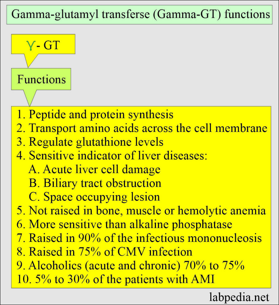 Gamma-glutamyl transferase (GGT), γ-Glutamyl Transpeptidase