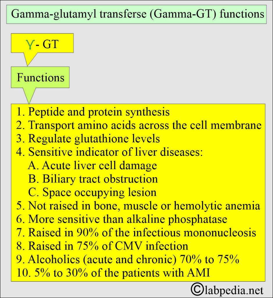 Gamma-glutamyl transferase (GGT), γ-Glutamyl Transpeptidase