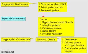 Zollinger-Ellison Syndrome, gastrinoma