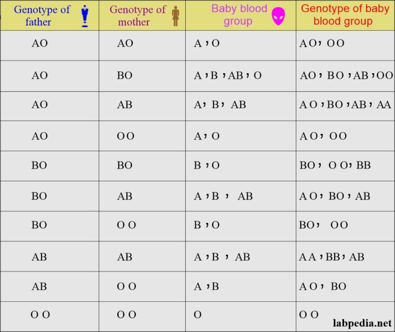 Blood banking:- part 1- Blood Groups ABO and Rh System, Blood Grouping ...