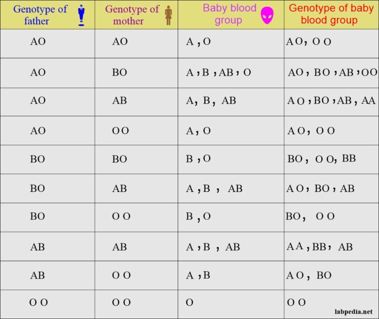 Blood banking:- part 1- Blood Groups ABO and Rh System, Blood Grouping ...