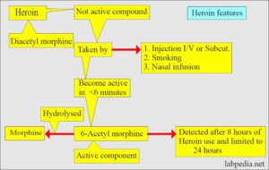 Urine Screening for Drug Abuse - Labpedia.net