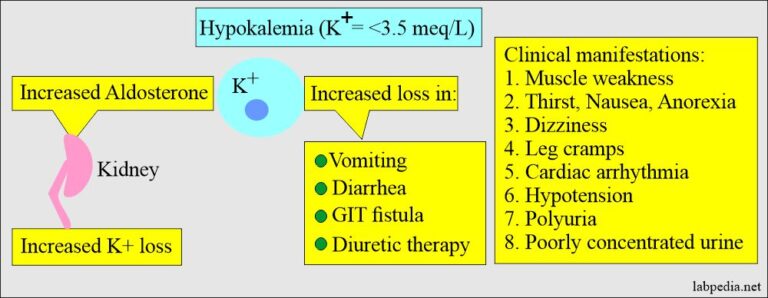 Potassium (K+) in blood and its significance