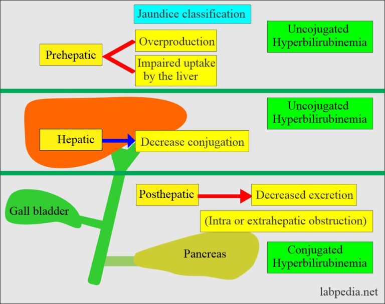 Chemical pathology - Labpedia.net