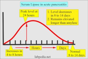 Pancreatic Functions and Acute pancreatitis - Labpedia.net