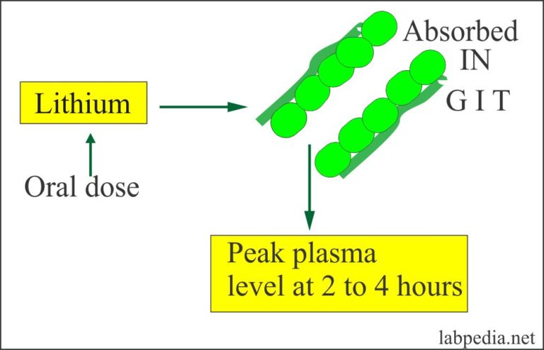 Lithium – Labpedia.net